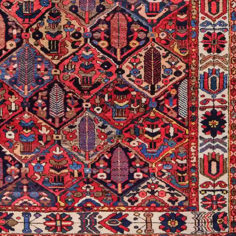 Bakhtiar Rugs Hand-Knotted – Buy Online | JUPITER Intl
